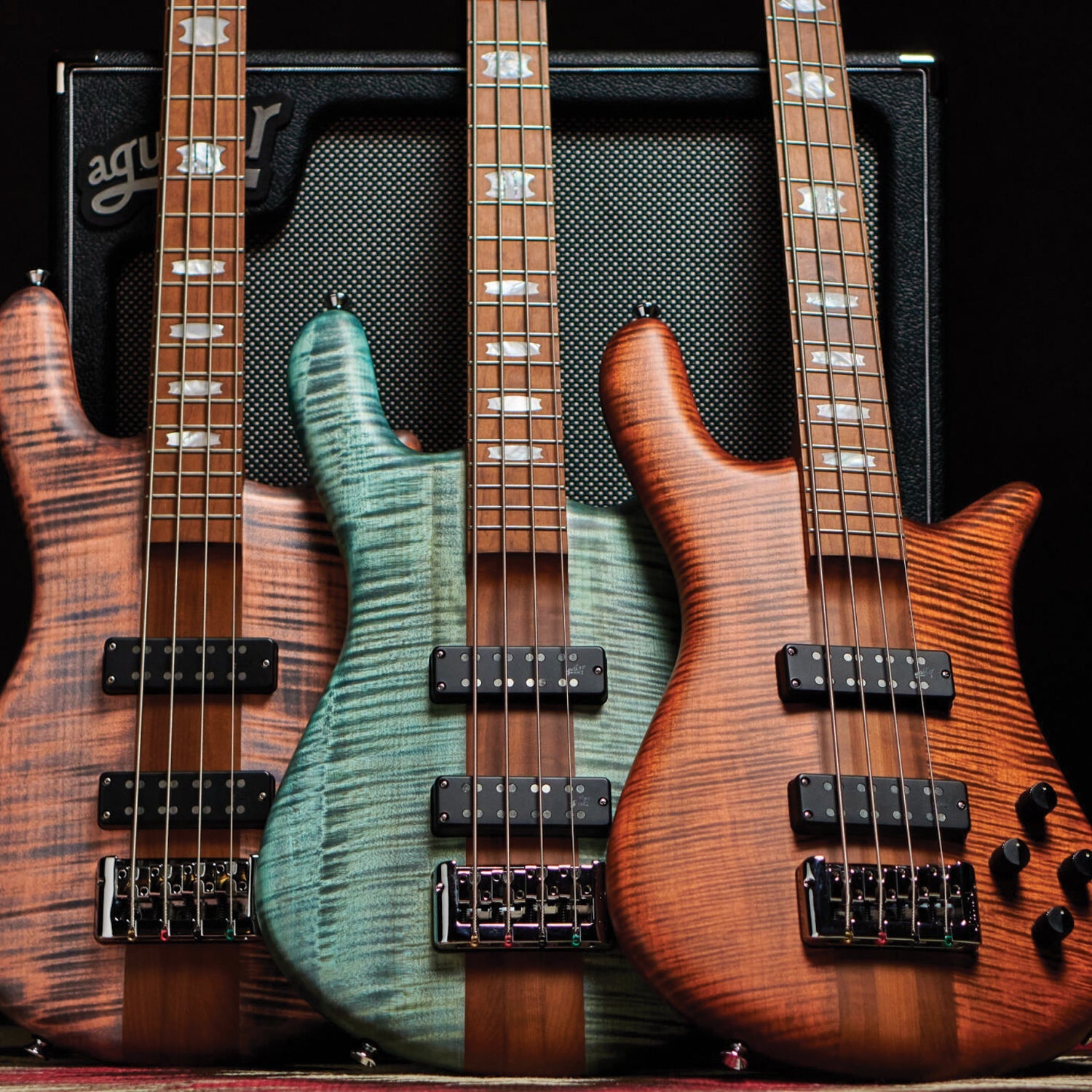 4-String Basses – Spector Bass Shop