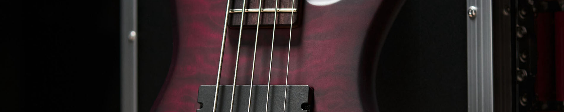5-String Basses – Spector Bass Shop