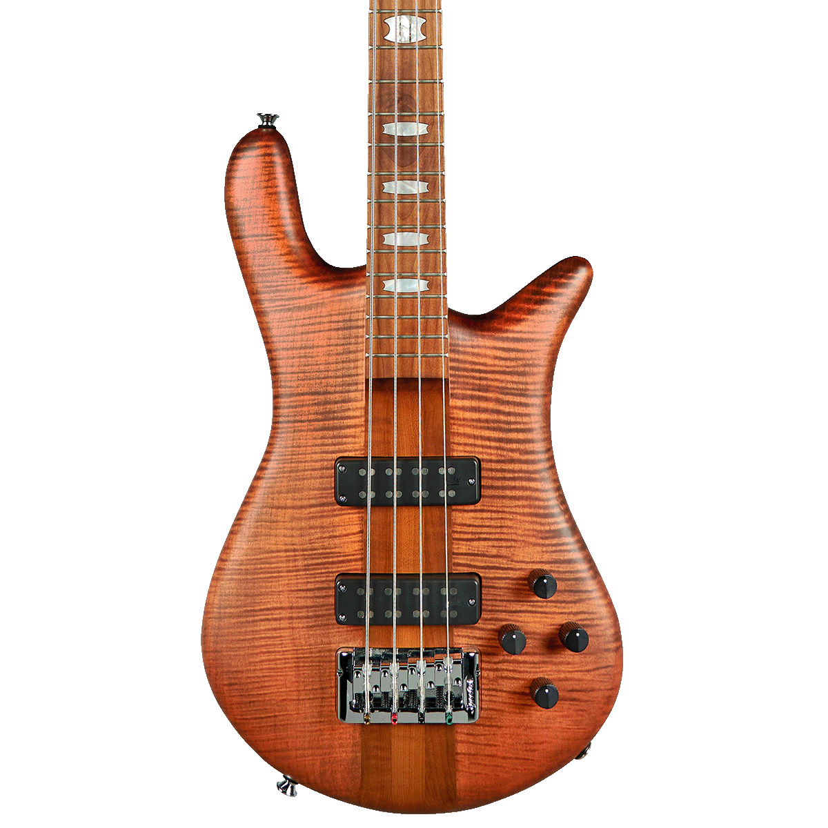 Spector Bass – Spector Bass Shop