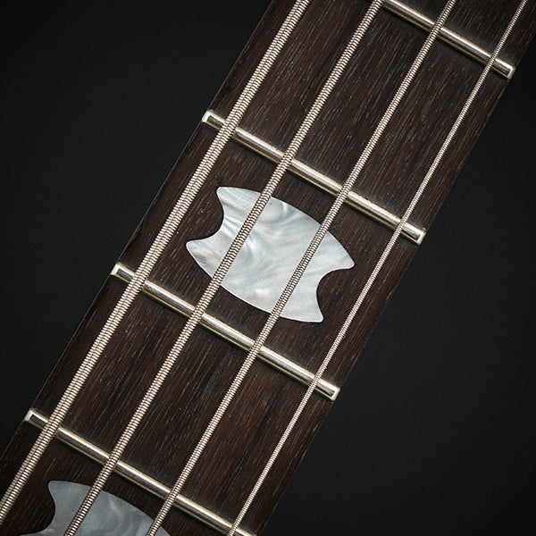 Icon NS 2 Bolt-On – Spector Bass Shop