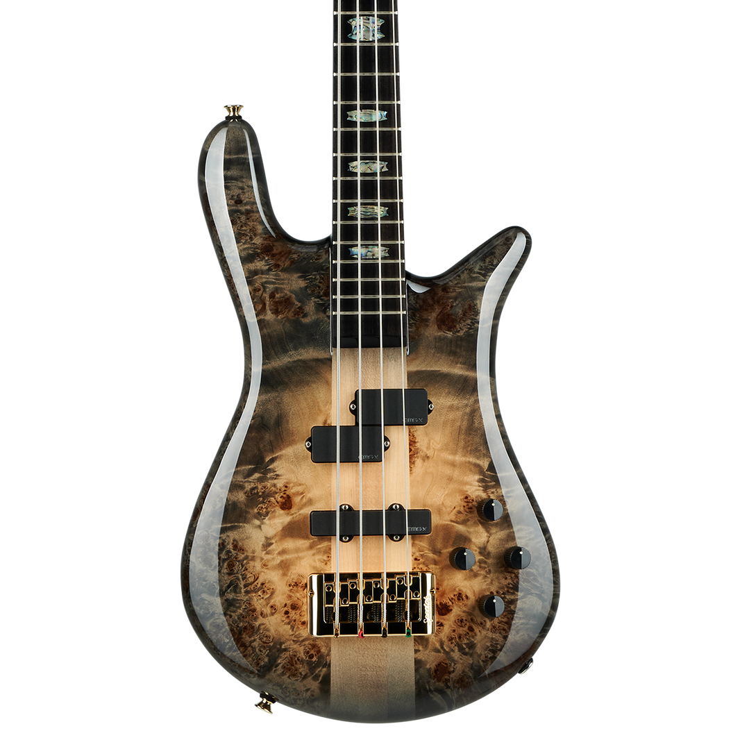 Spector Bass – Spector Bass Shop