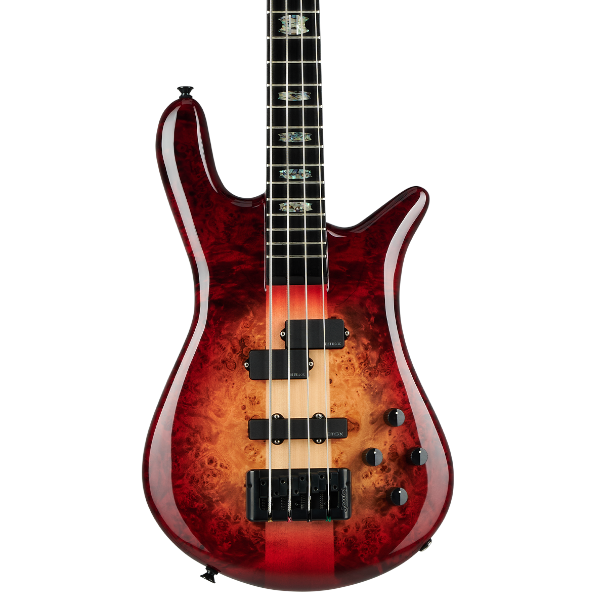 Spector Bass – Spector Bass Shop