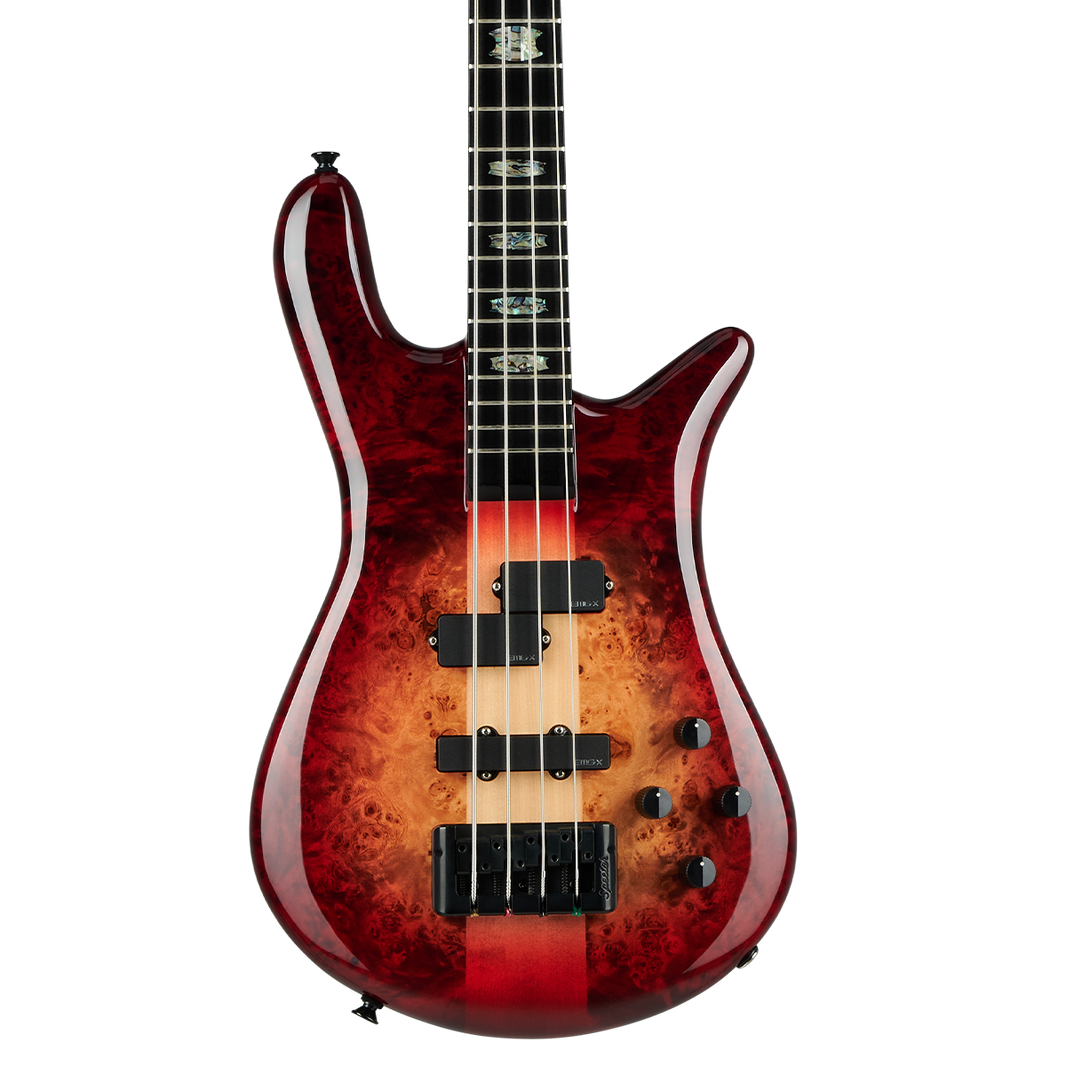 Spector Bass – Spector Bass Shop