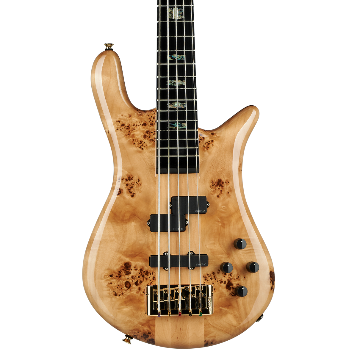 5-String Basses – Spector Bass Shop
