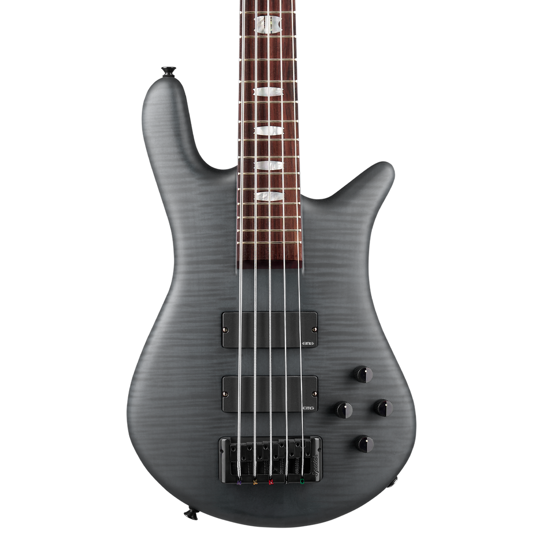 5-String Basses – Spector Bass Shop