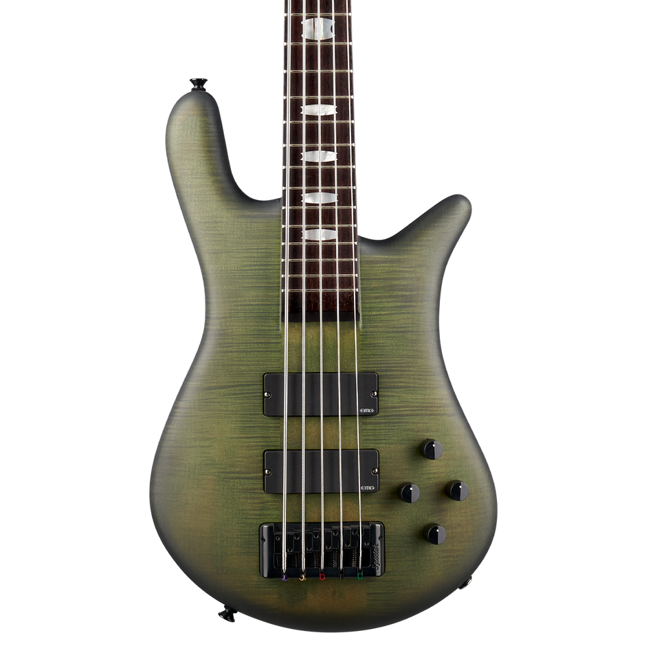 5-String Basses – Spector Bass Shop