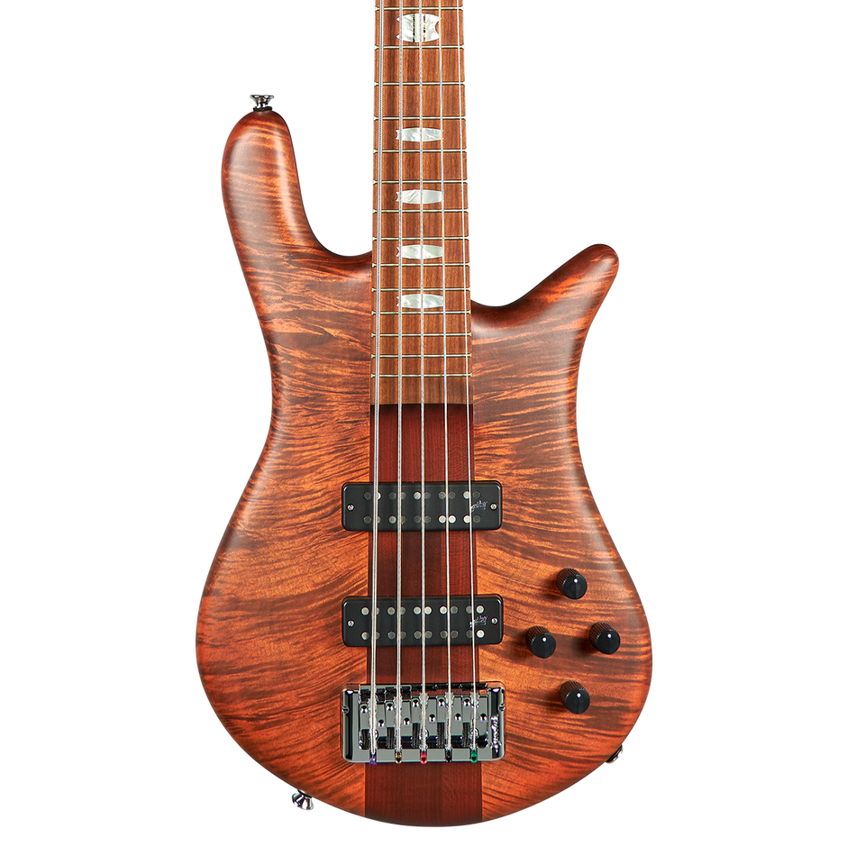 5-String Basses – Spector Bass Shop