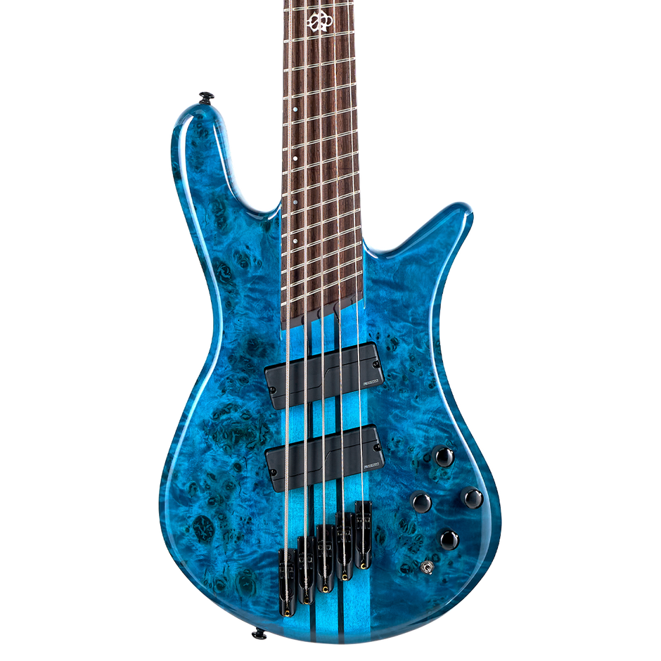 5-String Basses – Spector Bass Shop
